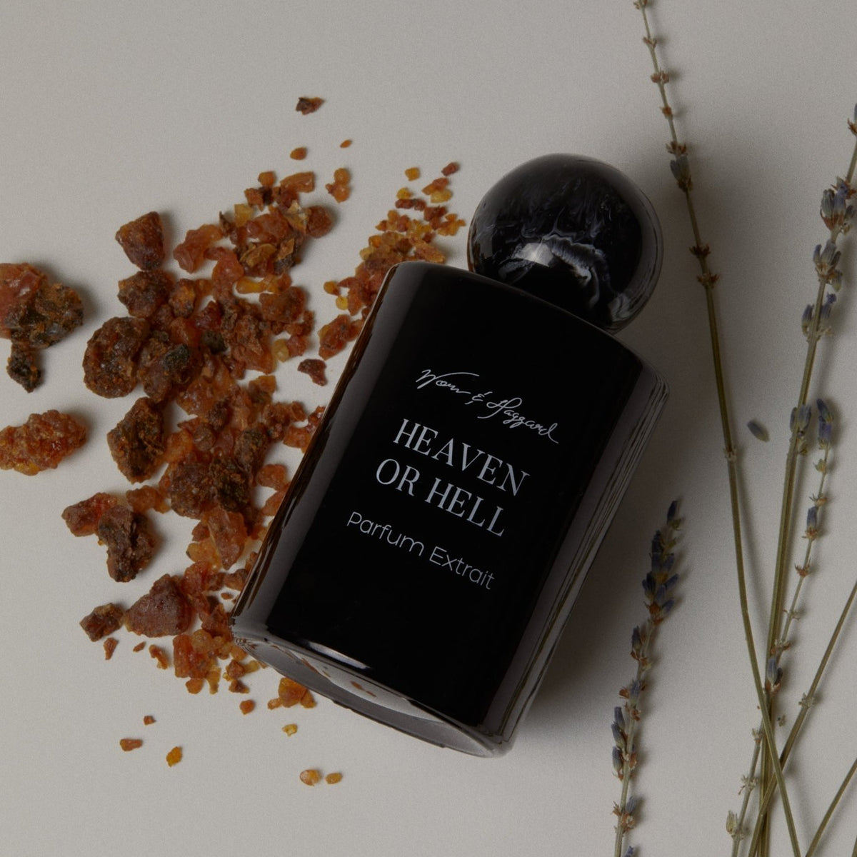 Heaven or Hell Unisex Fragrance & Worn & Haggard