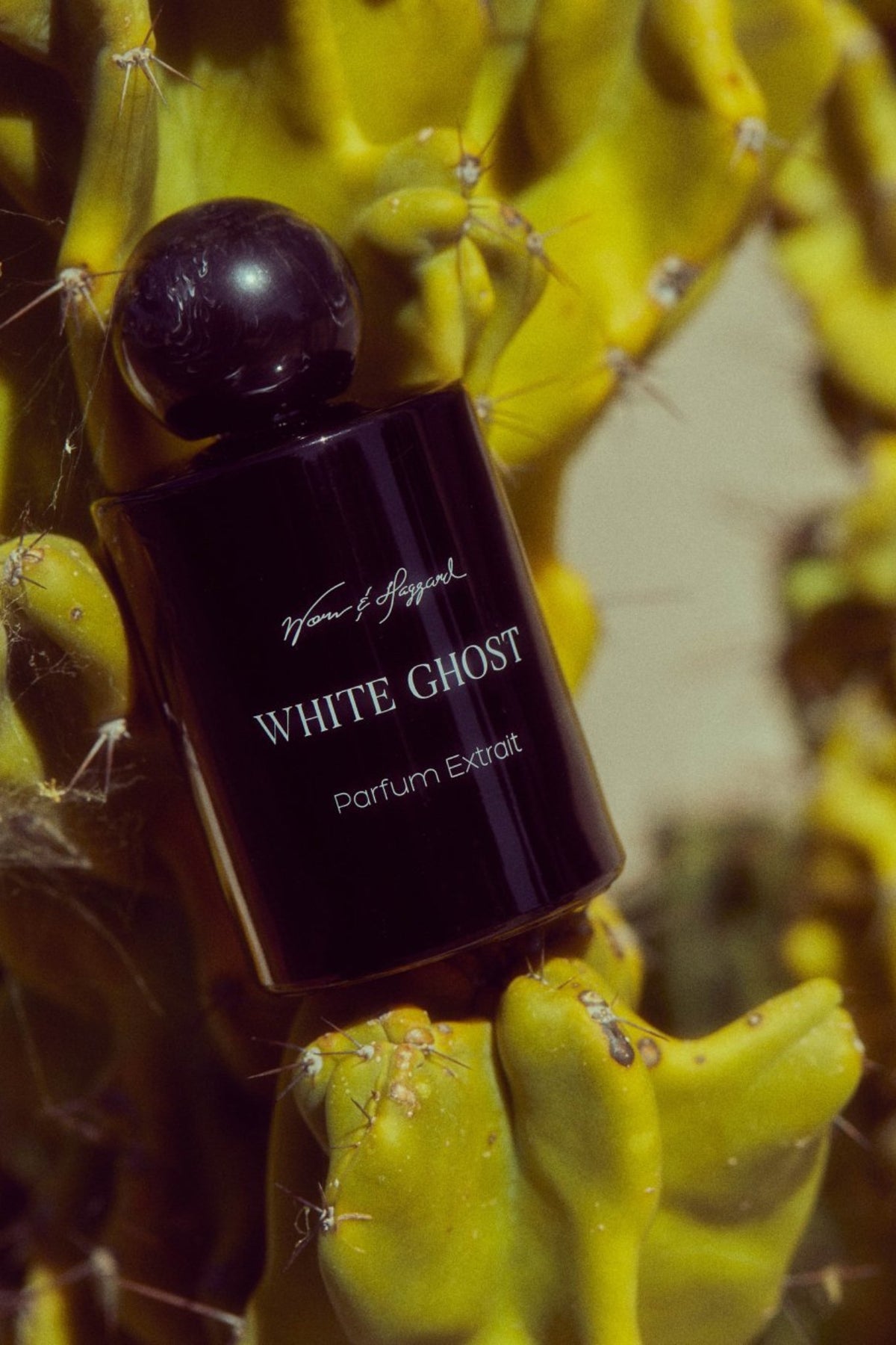 White Ghost Unisex Perfume & Worn & Haggard